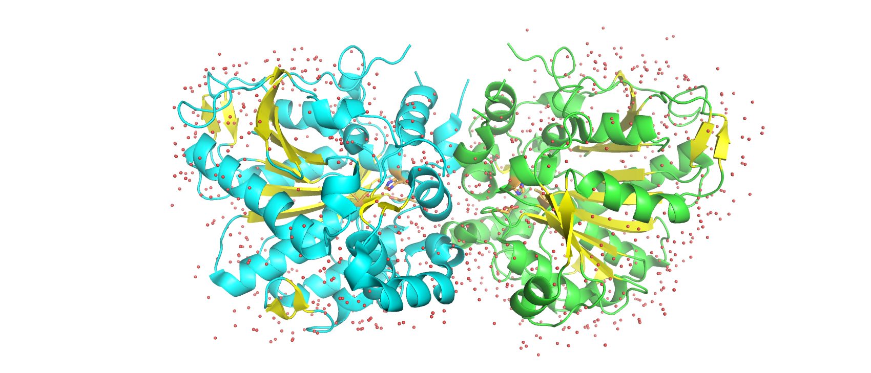 Protein crystal structures – CHEK's Biology