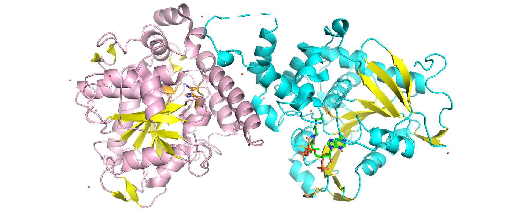 Protein crystal structures – CHEK's Biology