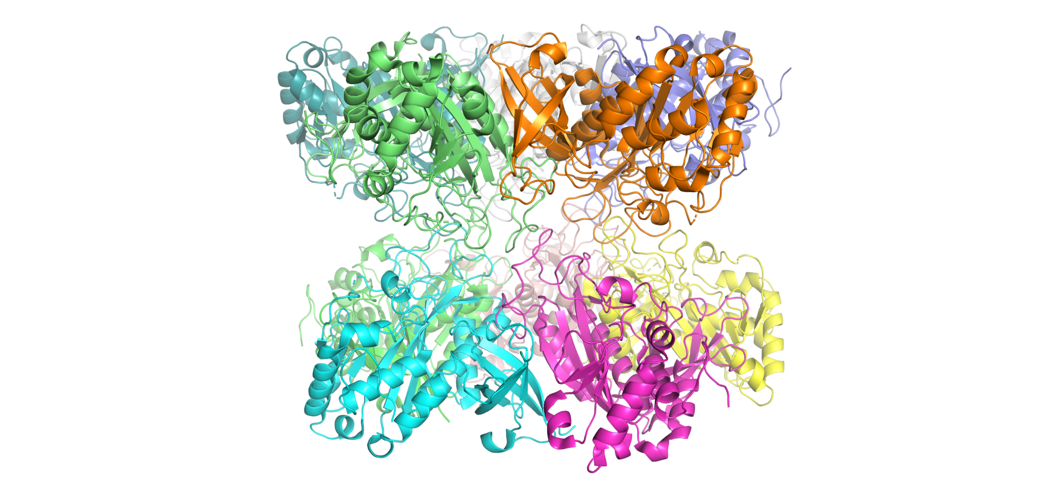 Protein crystal structures – CHEK's Biology